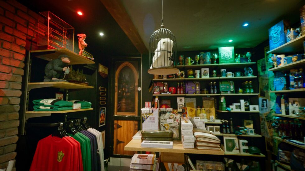 Nos magasins | Magical Store